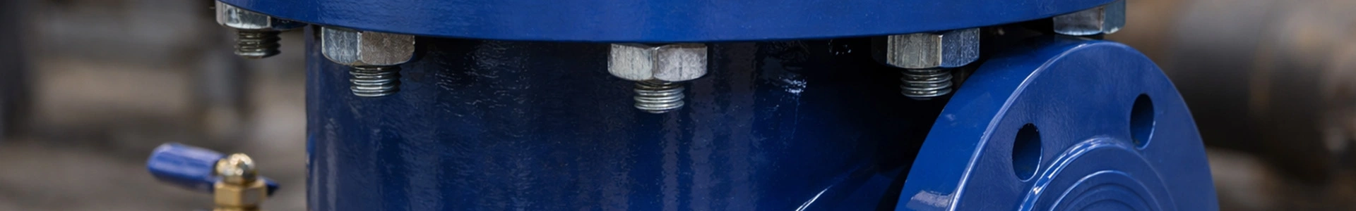 Duplex Basket Strainers | Pipeline Strainers by Material | Monarch Asia ...